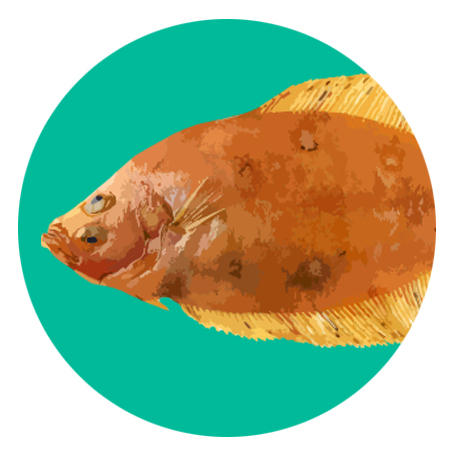 La Cardine • Poissons Coquillages Crustacés